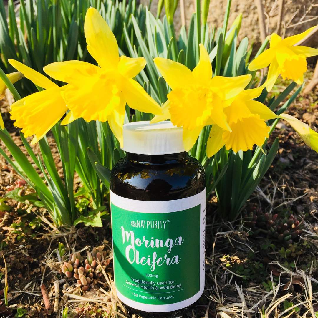 Moringa Helps Cure Arthritis | Moringa Health